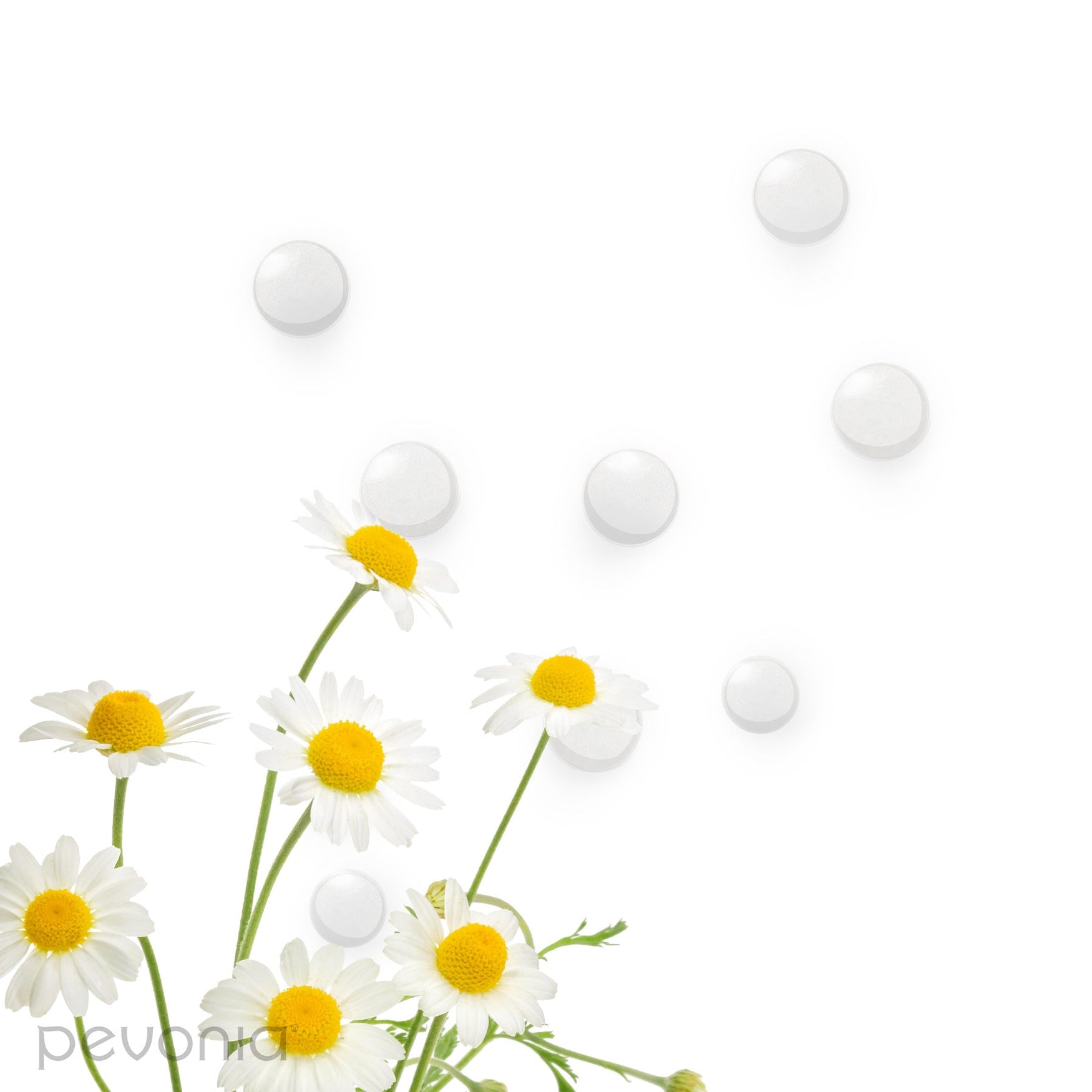 Pevonia: Natural Skincare Products | Pevonia UK